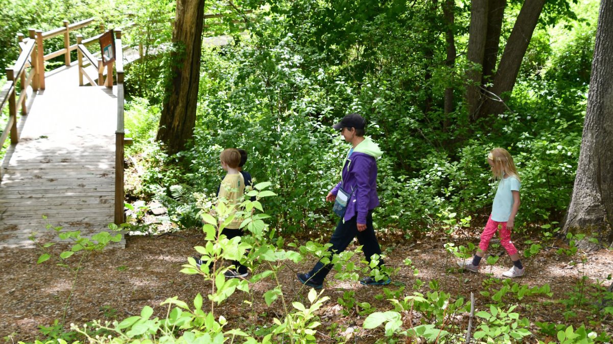 Our Unique Campus | Inly School