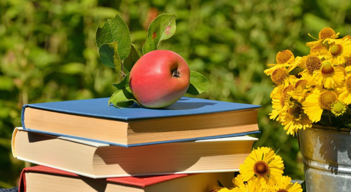 End of Summer Tips: Relax, Then Prepare | News | Inly School